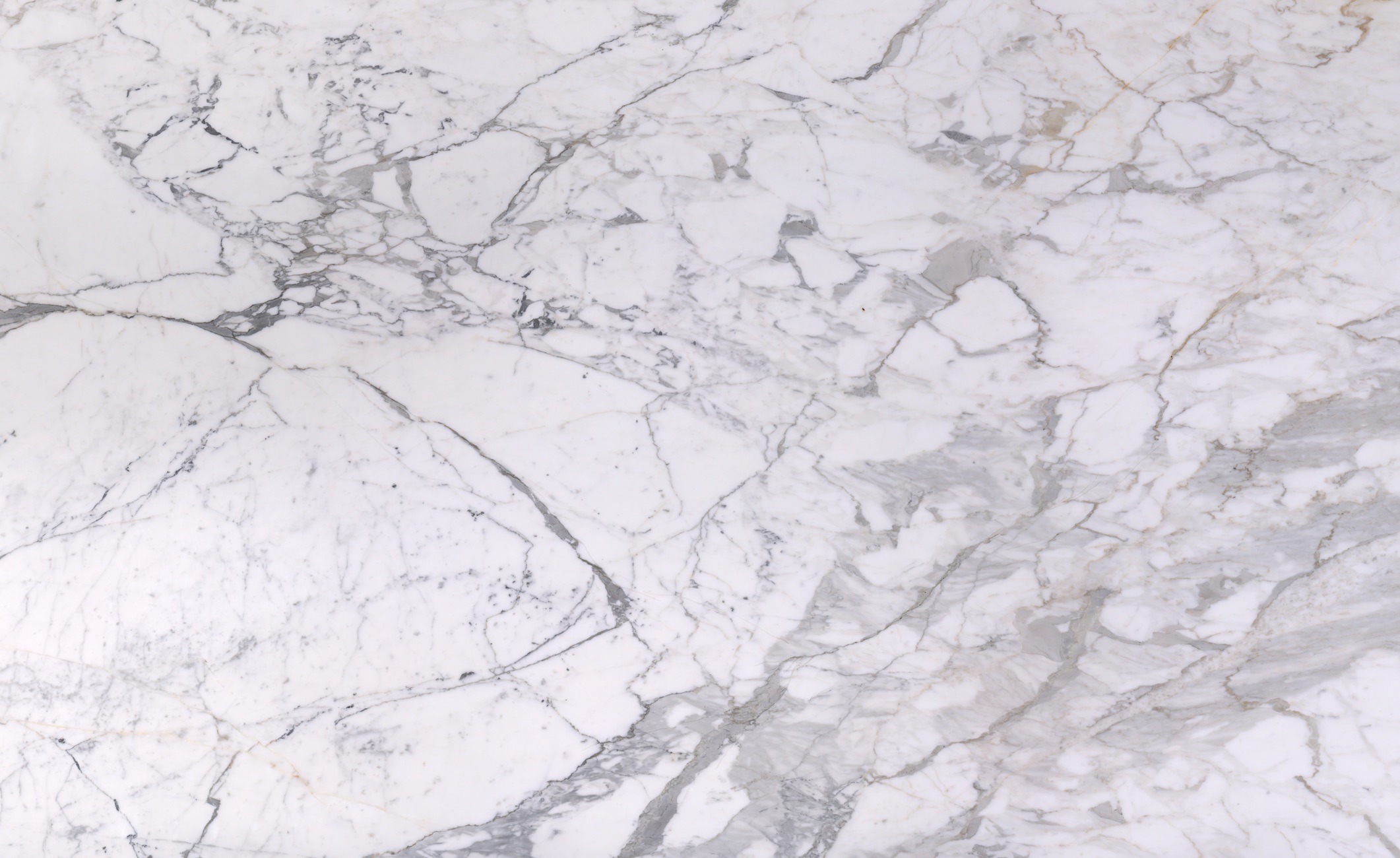 Macchia Vecchia Marble Gallery | Stone Boutique